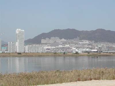 調査地の概要 広島湾西部八幡川河口