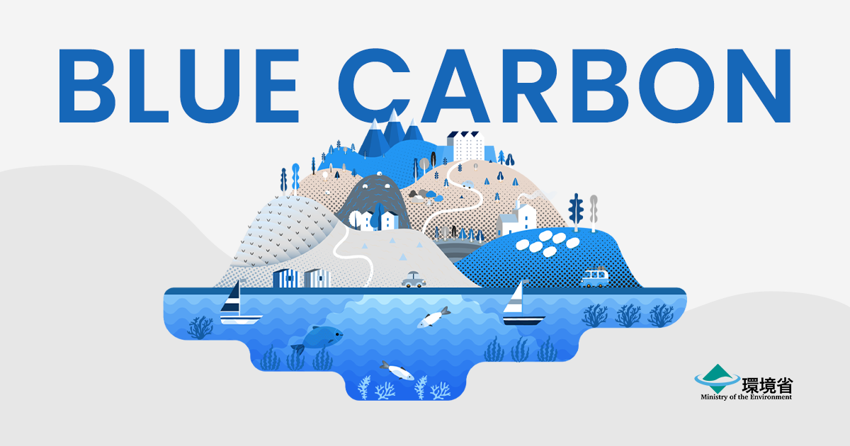 ブルーカーボンに関する日本の取り組み | 環境省
