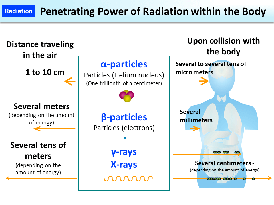 Penetrating Power Of Radiation Within The Body MOE Penetrating Power Of Radiation Within The Body MOE