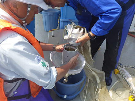 Harmonization of Microplastics Monitoring Methodologies in the Ocean [MOE]