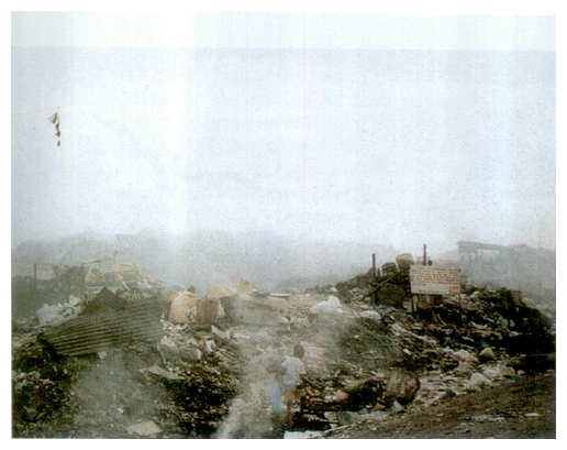 Quality of the Environment in Japan 1993 [MOE]